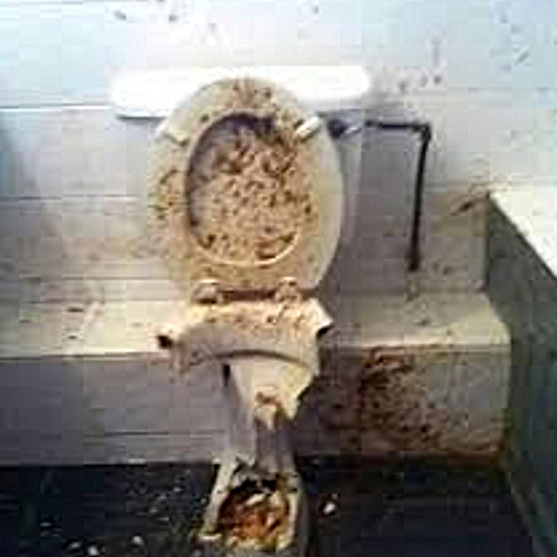 Stream Explosive Diarrhea by Piggy | Listen online for free on SoundCloud