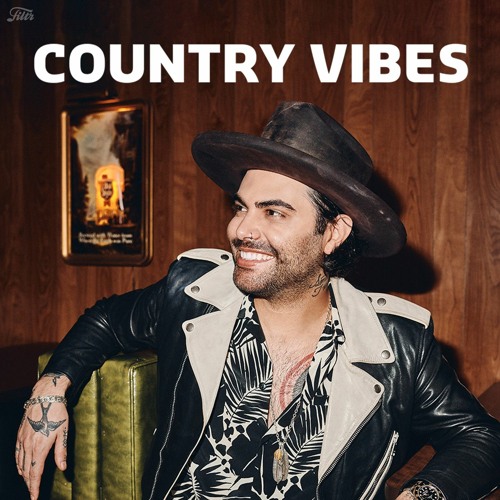 Stream Filtr US | Listen to Country Vibes playlist online for free on ...