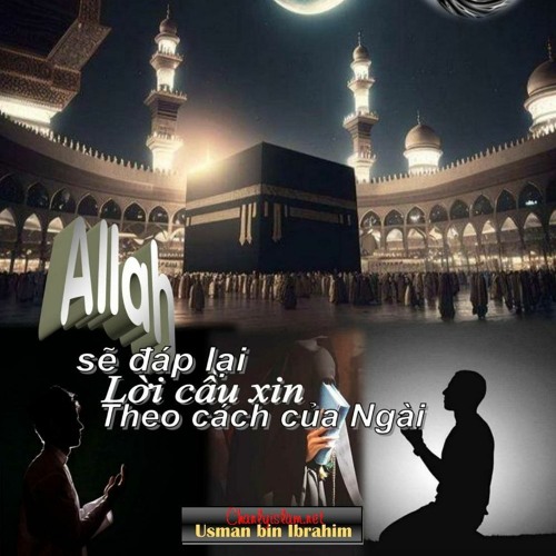 Stream ALLAH SE ĐAP LAI LOI CAU XIN TUY THEO CACH CUA NGAI by ...