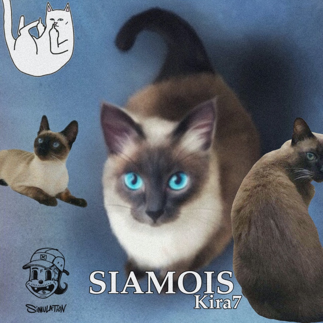 Stream Kira7 - SIAMOIS (Official Audio) by The Simulation | Listen ...