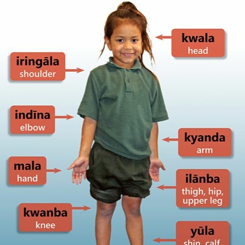 Stream Anēwan words for parts of the body by Nēwara Aboriginal ...