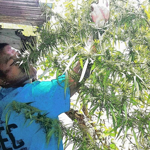 Stream Marvin Henry | Listen to MJ Henry playlist online for free on SoundCloud