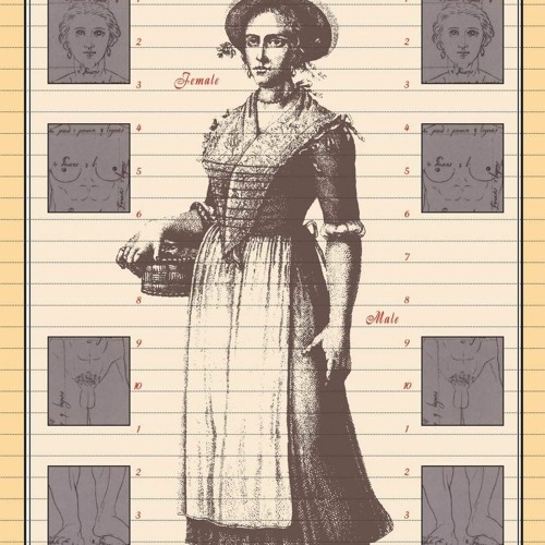 Stream Episode Ebook ️ Download Hermaphrodites And The Medical