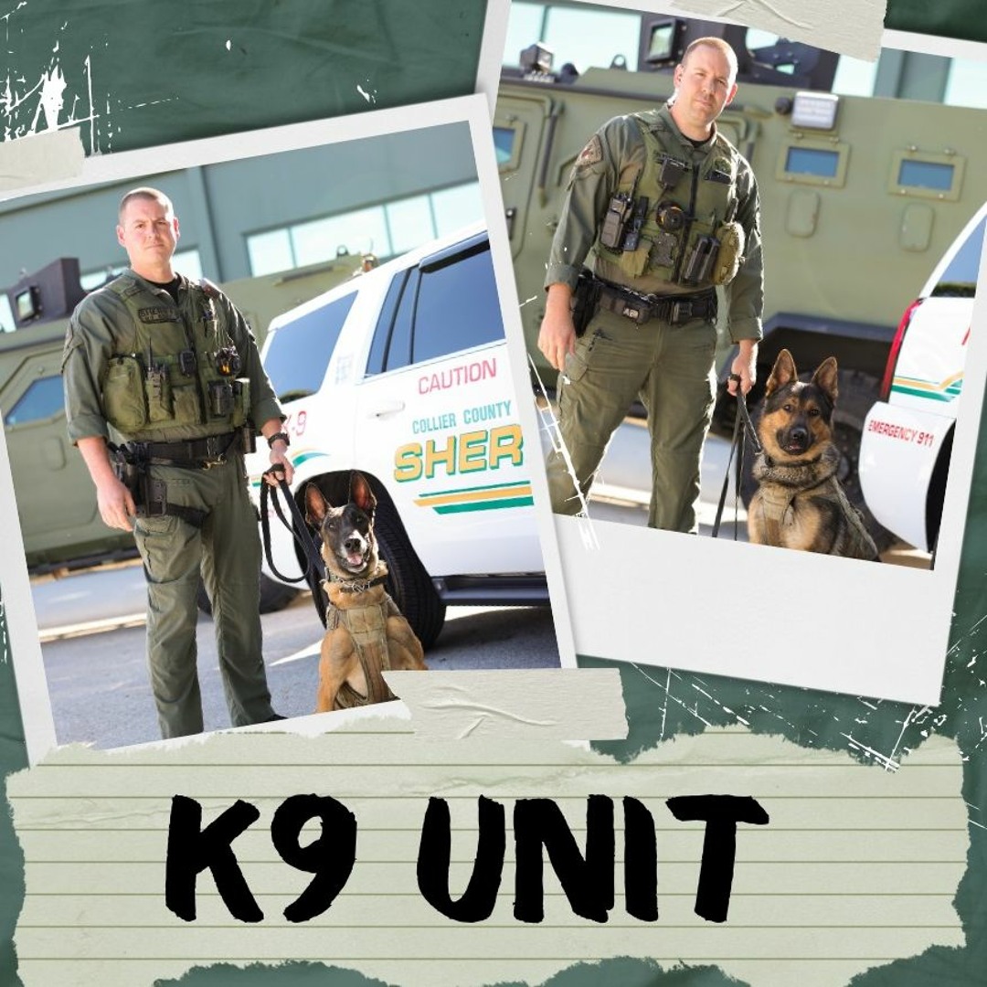 Stream Inside the K9 Unit: How CCSO’s dogs protect Collier by Sworn ...