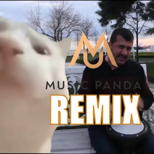 Stream Cat Dancing Meme Full Song | Cat Meme Full Music | Bass Boosted ...