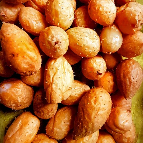 Stream Topi Tambo Jam by Mapapi | Listen online for free on SoundCloud