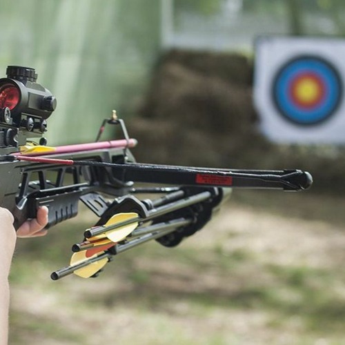 Stream Arrow Precision 175 Lb. Inferno Fury Recurve Crossbow by Bowgear ...