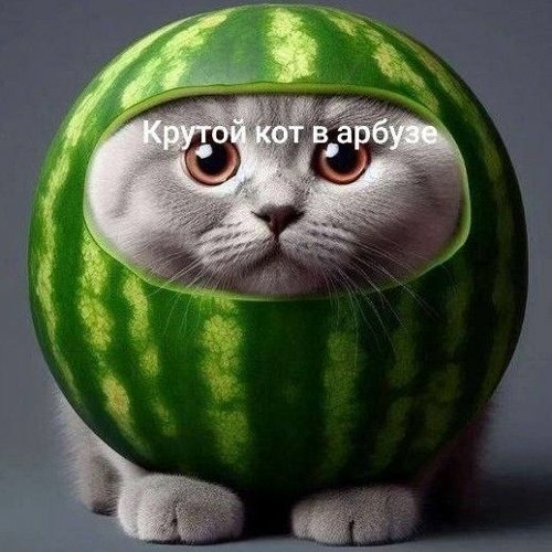 Stream andrea | Listen to yhhhhhh playlist online for free on SoundCloud