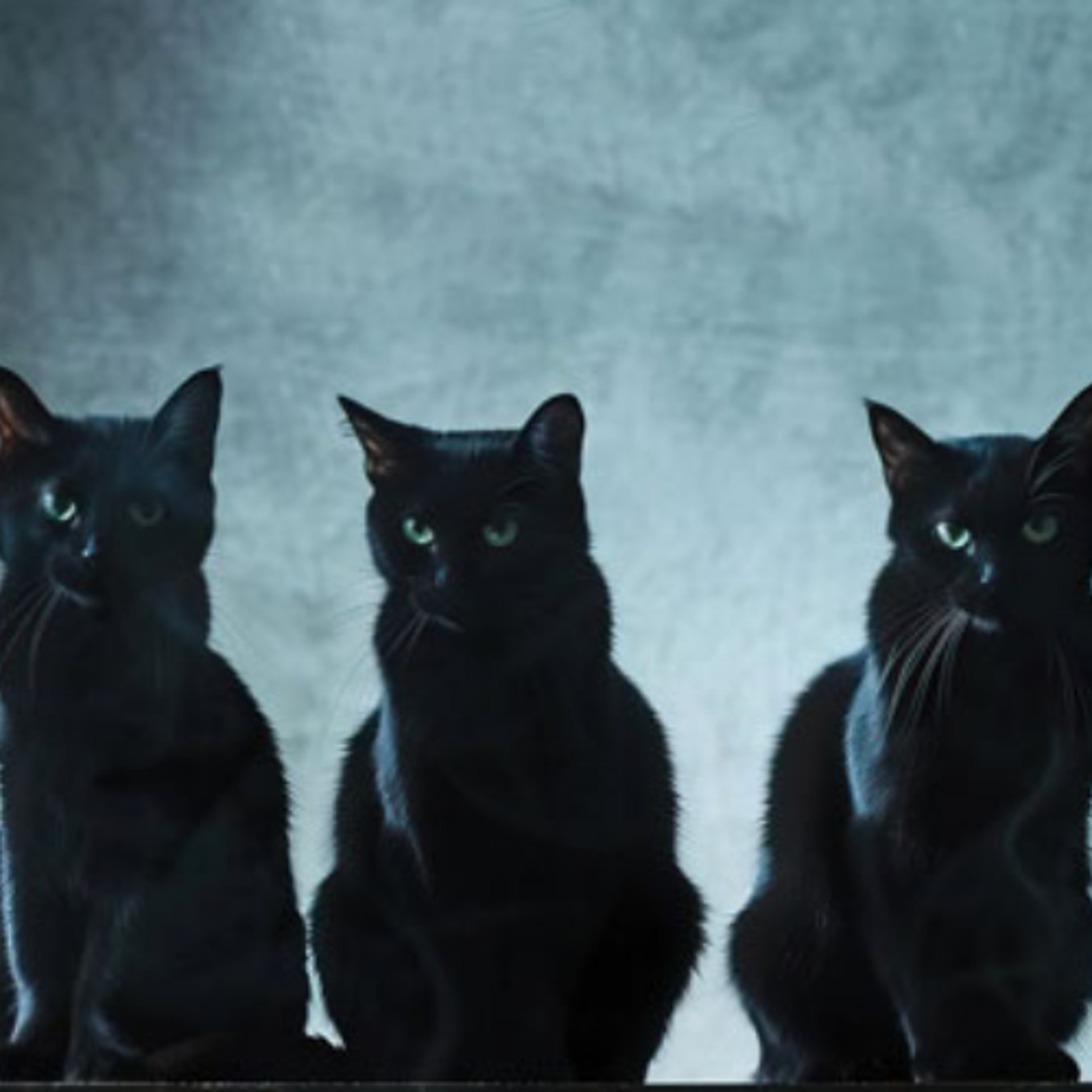 Stream episode Evil Genius by Wolfinwool podcast | Listen online for ...