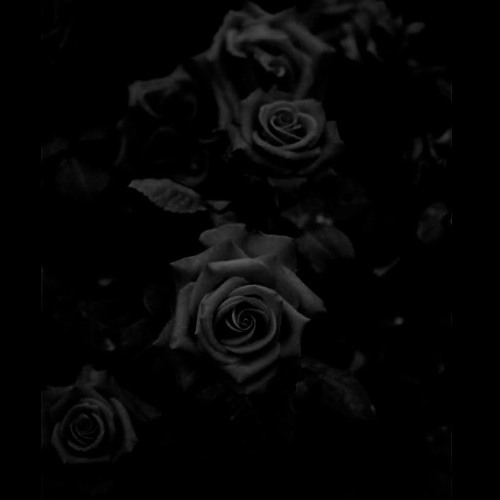 Stream came thru ft elijxhwtf prod wixxo by skin | Listen online for ...