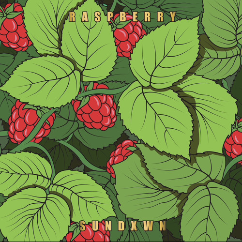 Stream SUNDXWN | Listen to Raspberry playlist online for free on SoundCloud