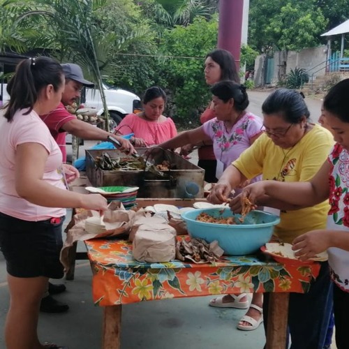 Stream Gastronomía de los Pueblos Indígenas: “el chojol” by Cultural ...