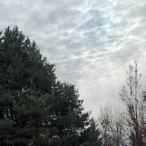 Stream Trappin in Space by Stradominous | Listen online for free on SoundCloud