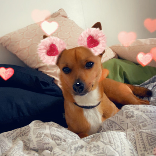 Stream paper . snow . a ghost . by soso rngstrm | Listen online for ...