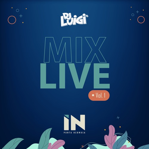 Stream Dj Luigi - In Punta Hermosa en vivo (Parte 1) by Dj Luigi Perú ...