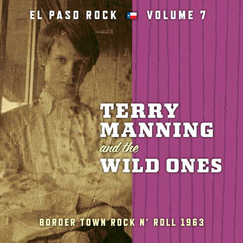 Stream Terry Manning and the Wild Ones | Listen to Terry Manning and ...