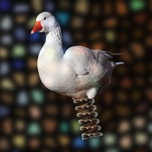 Stream Spring Goose | Listen to the idiot ep playlist online for free ... Stream Spring Goose | Listen to the idiot ep playlist online for free ...