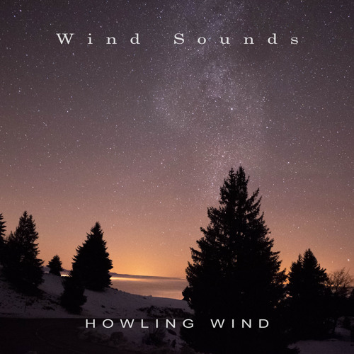 Stream Wind Sounds | Listen to Howling Wind playlist online for free on ...