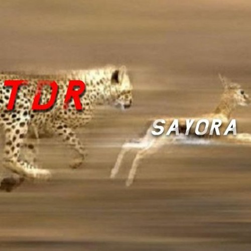 Stream TDR Gang - Cansei de digitar 💻 by TDR GANG | Listen online for ...