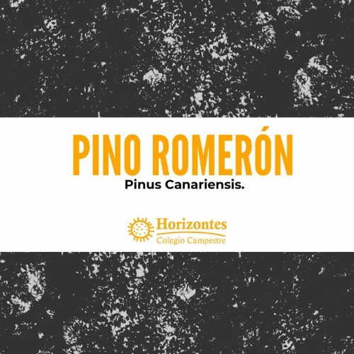 Stream PINO ROMERÓN - Mariana Mira - Los Árboles - Eugenio Montejo by ...