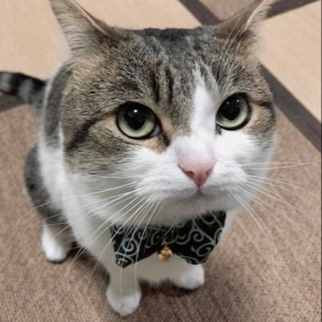 Stream (sped up) (prod. knownhated) xaviersobased x hoodtrap x ...