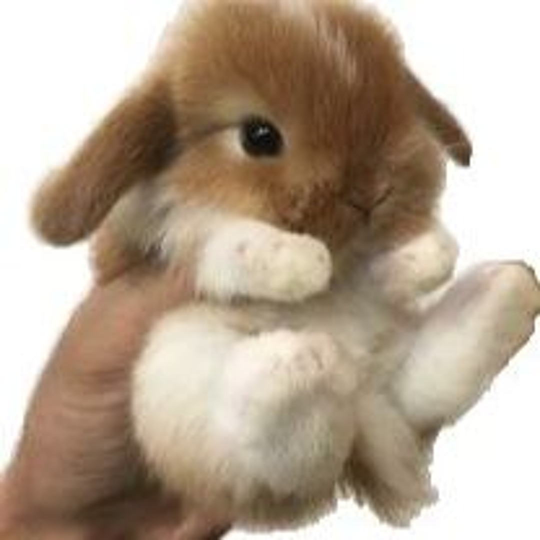 Stream aeter, kid moon - hey your face is melting by :c | Listen online ...