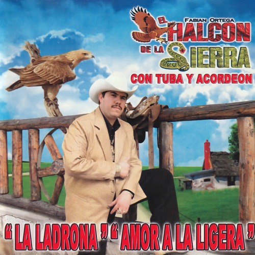 Stream La Gallina Abada by El Halcon De La Sierra | Listen online for ...