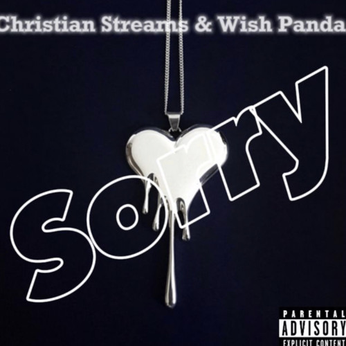 Stream sorry (ft. Wish Panda) by Christian Streams | Listen online for ... Stream sorry (ft. Wish Panda) by Christian Streams | Listen online for ...