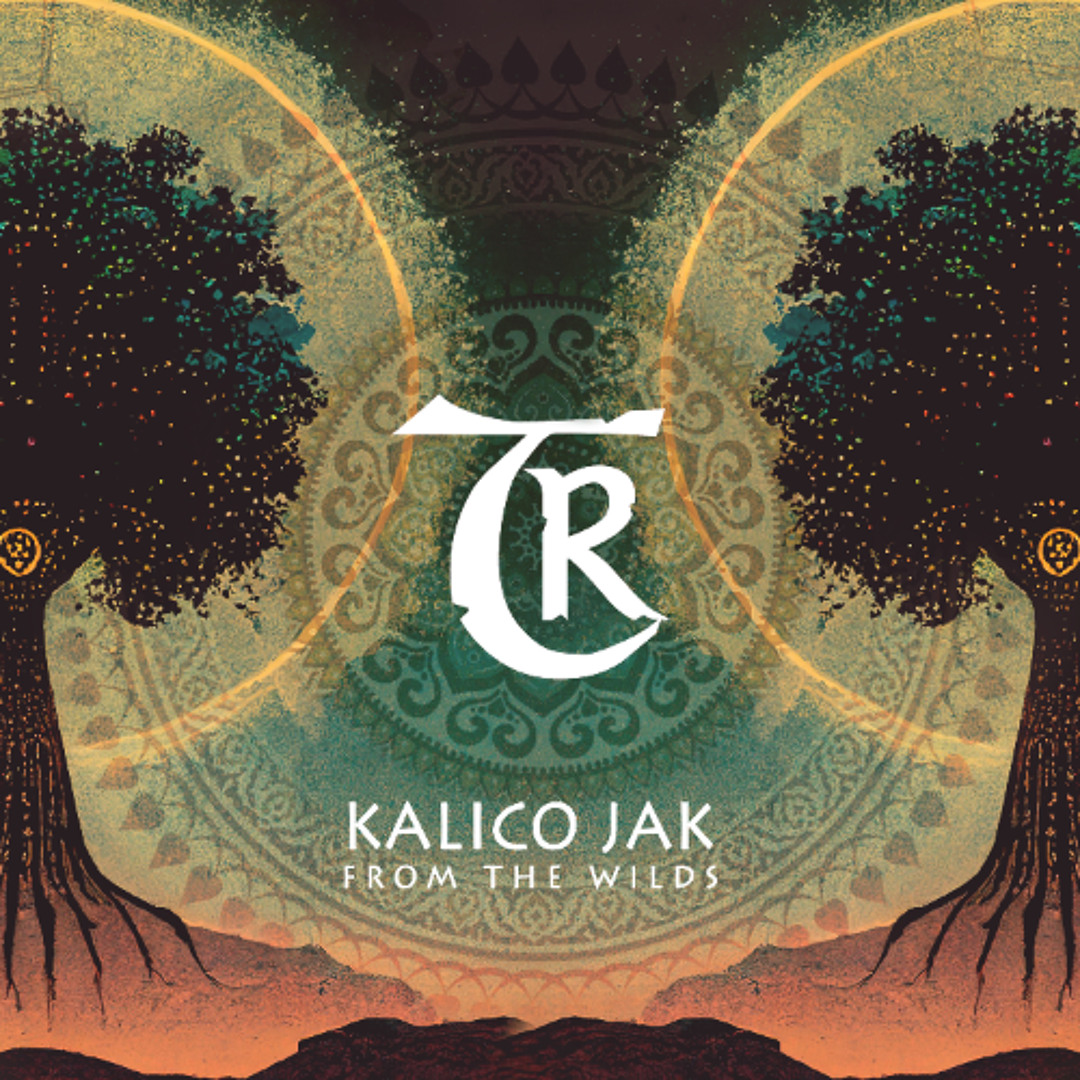 Stream 𝐏𝐑𝐄𝐌𝐈𝐄𝐑𝐄: Kalico Jak - The Bone Doctor [Tibetania Records] by ...