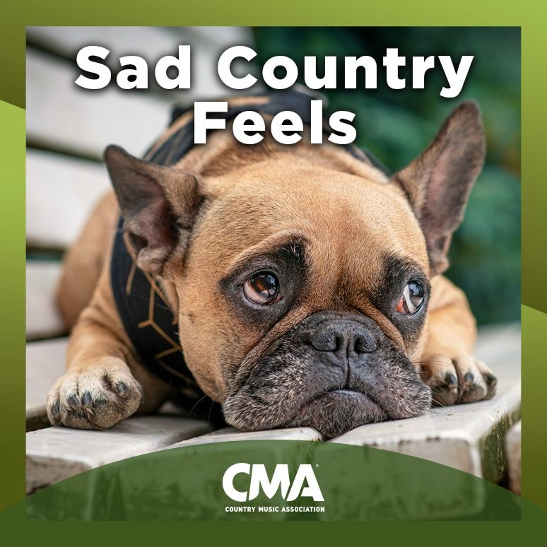 Stream Country Music Association | Listen to Sad Country Feels playlist ...