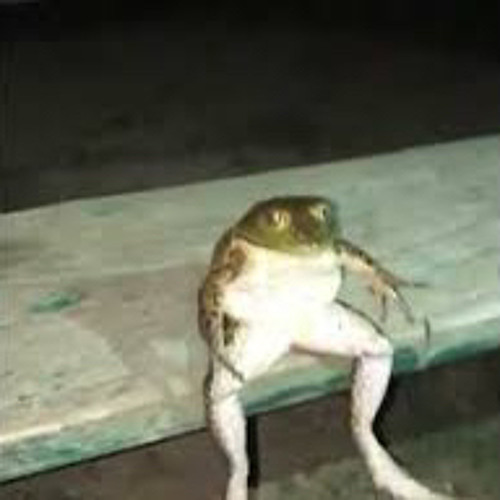 Stream Malakai - Chilling Frog 🎶 (OFFICIAL) by Malakai Dunaway | Listen ...