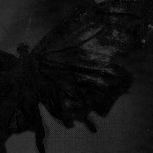 Stream 나비 by James Bayne (제임스 베인) | Listen online for free on SoundCloud