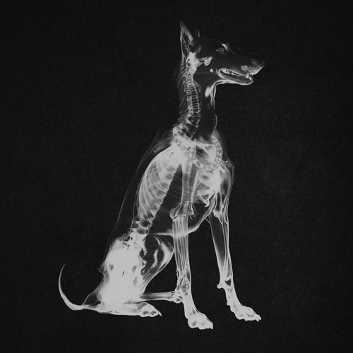 Stream Yeat - Split (Dogs I Know Remix) by Dogs I Know | Listen online ...