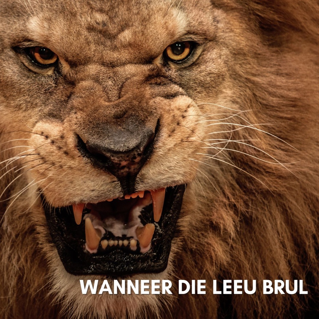 Stream Wanneer die leeu brul (27 Jul 2025) by STEM VAN HOOP | Listen ...
