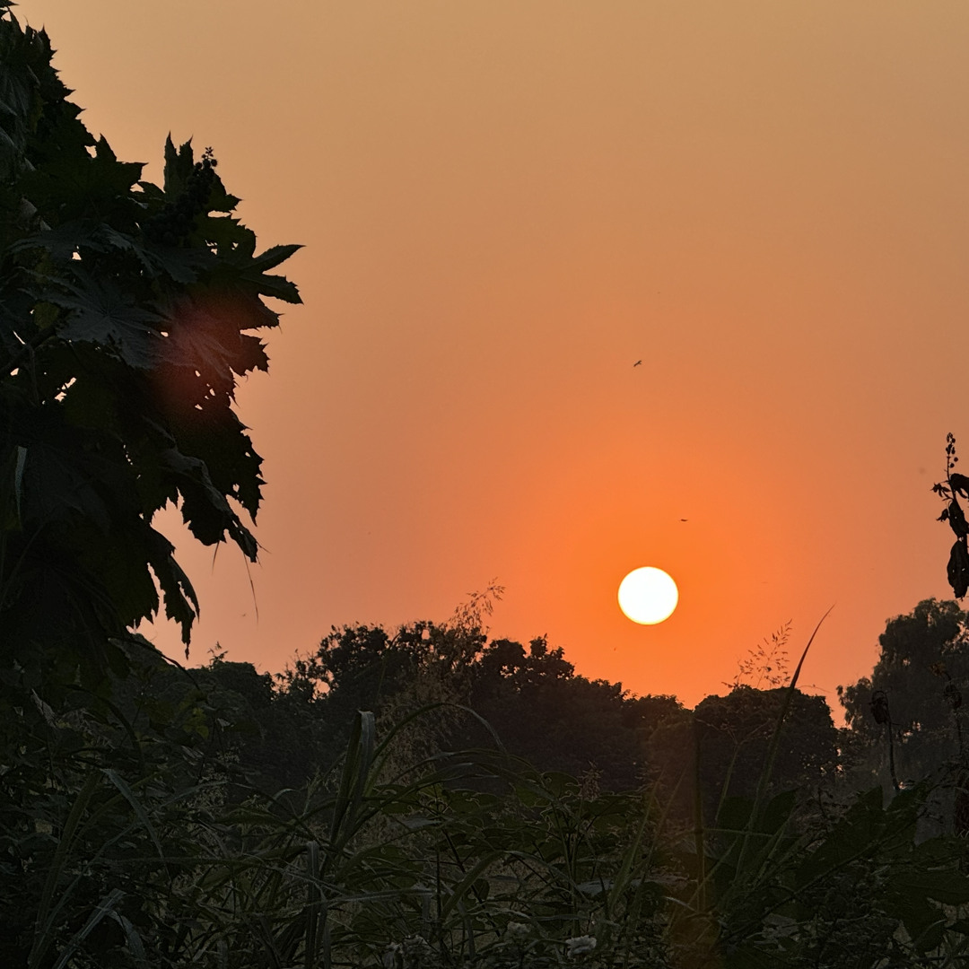 Stream Zack Knight - Rula Diya (ft Simran Kaur).mp3 by ملک ابرار کاسی🔰 ...