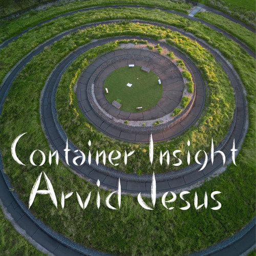 Stream Container Insight by Arvid Jesus | Listen online for free on ...
