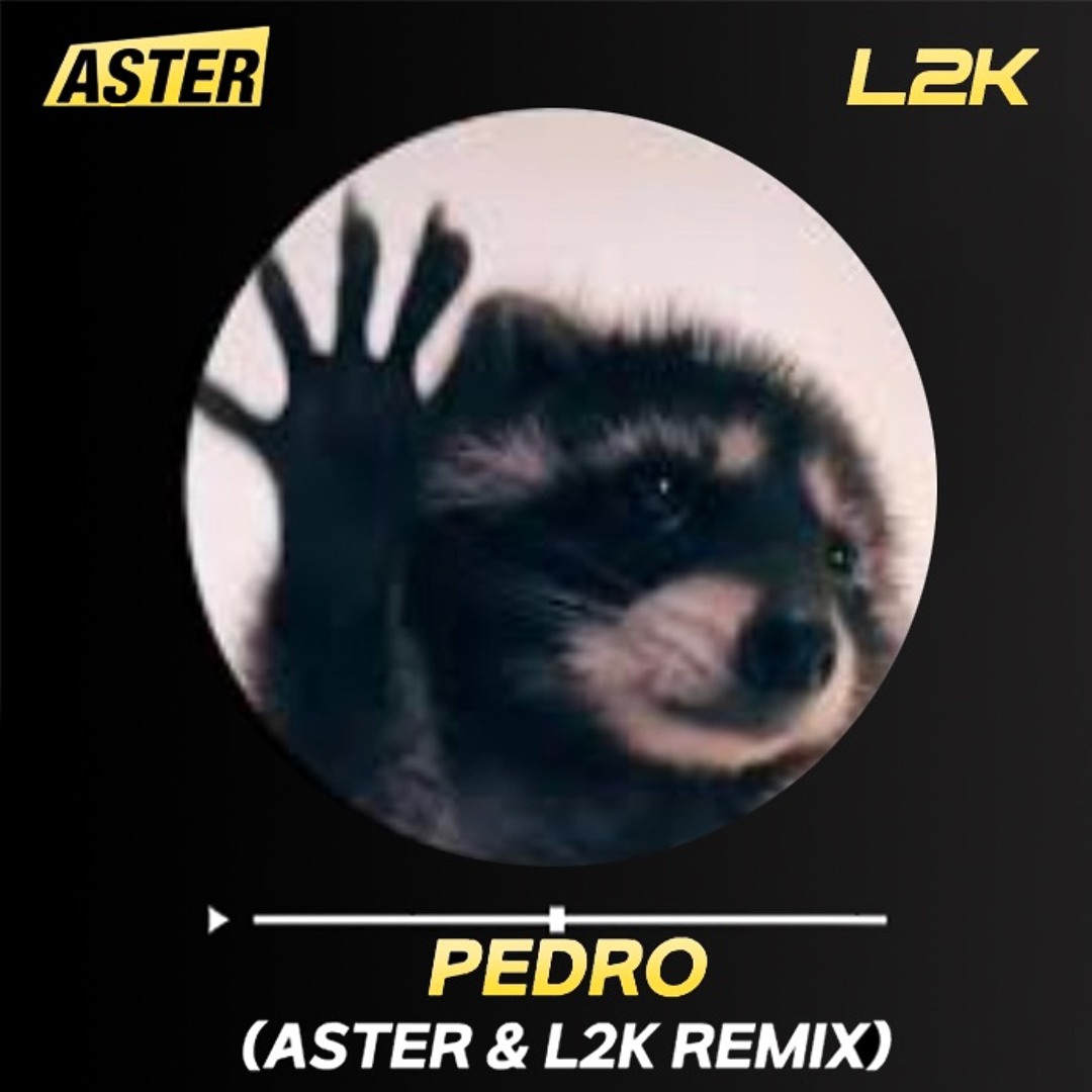 Stream Aster&L2K-Pedro(Remix) by DJ ASTER | Listen online for free on ...