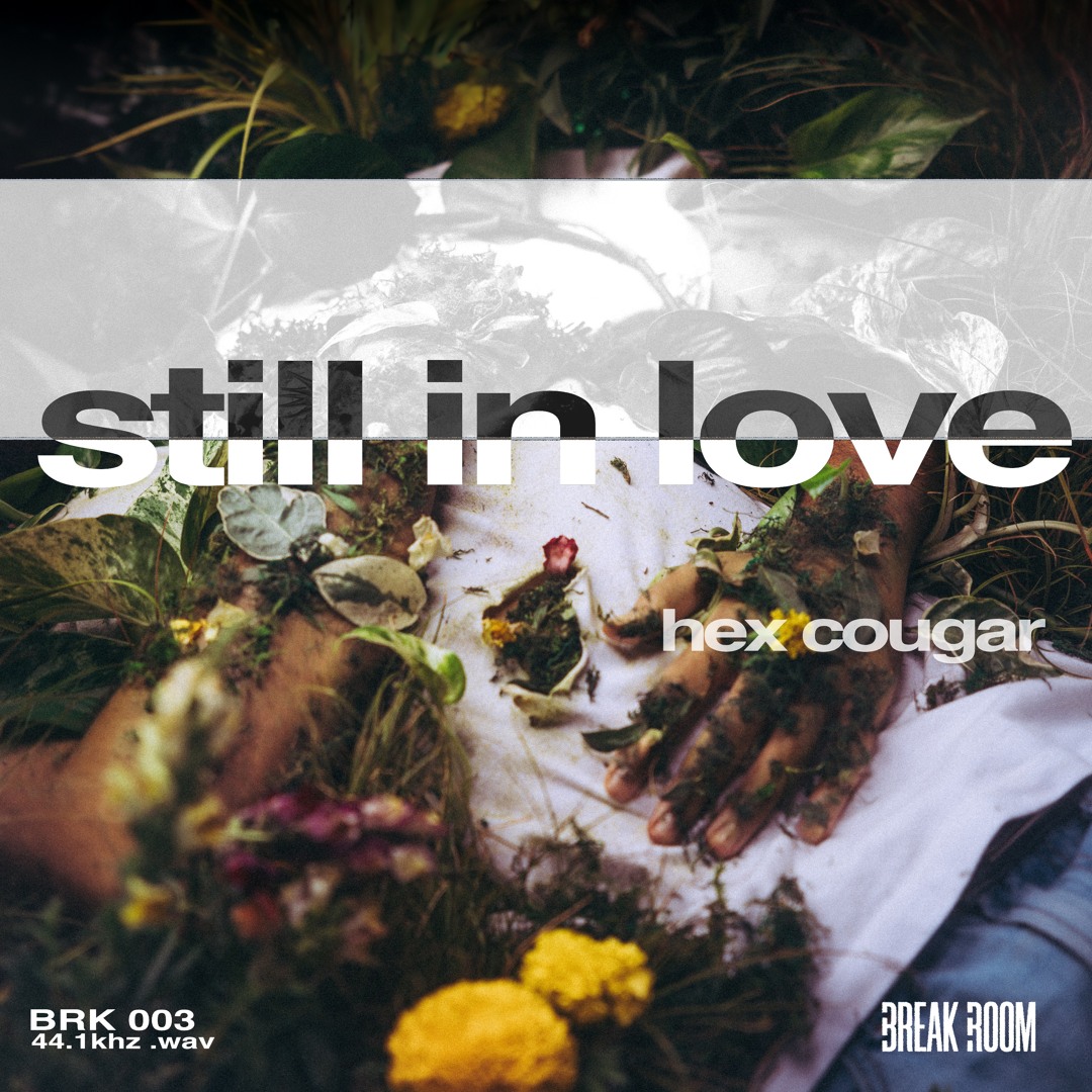 Stream Hex Cougar - Still In Love by BREAK ROOM | Listen online for ...
