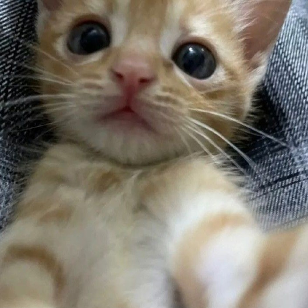 Stream Exit Sign - HIEUTHUHAI ft. marzuz_ last dance inst ver by ...