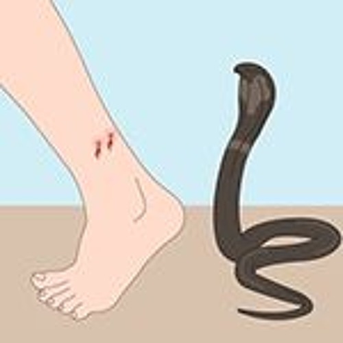 Stream episode Snake Bite by Nithra Edu Solutions podcast | Listen ... Stream episode Snake Bite by Nithra Edu Solutions podcast | Listen ...