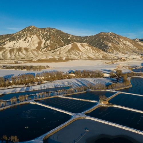Stream This is Our Town - Johnny Ziem - Wastewater Treatment Plant ...
