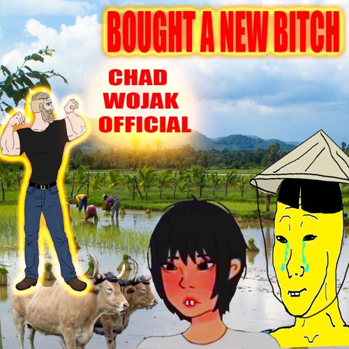 Stream Bought A New B*tch by Chad Wojak Official | Listen online for ...