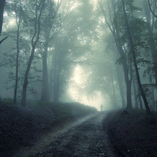 Stream Eerily Calm Horror Ambience by EerilyCalm | Listen online for ...