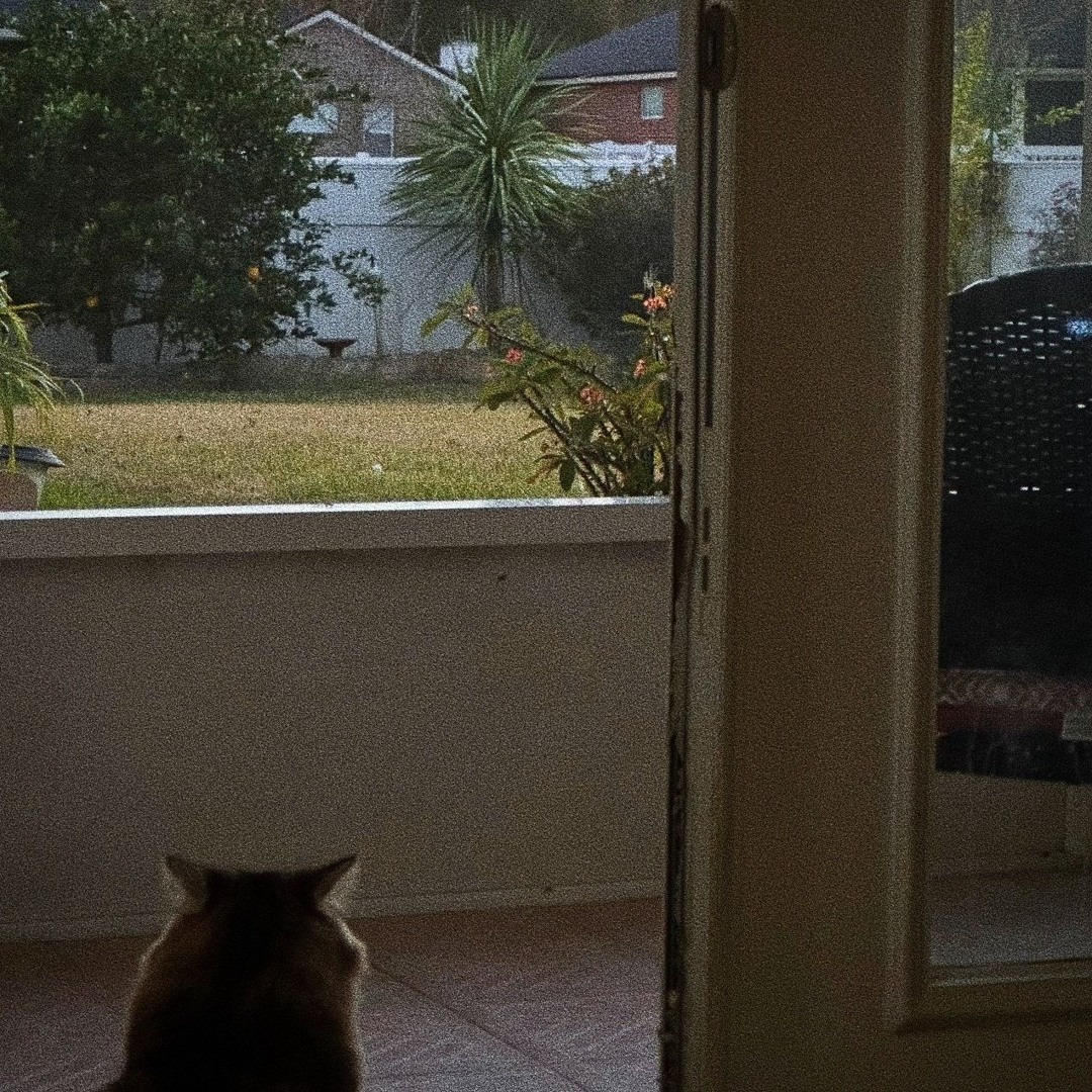 Stream @rxseboy - Escape the simulation (prod. neverforever) by Rxseboy ...