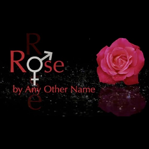 Stream A Rose By Any Other Name [web series theme song] by Little ...