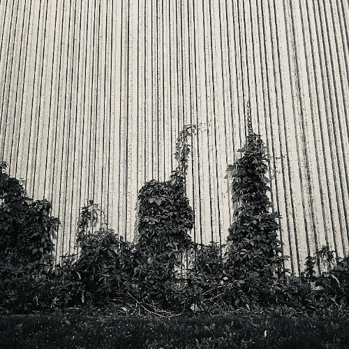 Stream b2b Massif: Joyride, DJ Mr. D. Bassett, papa zen, Jomari, Kelmo ...
