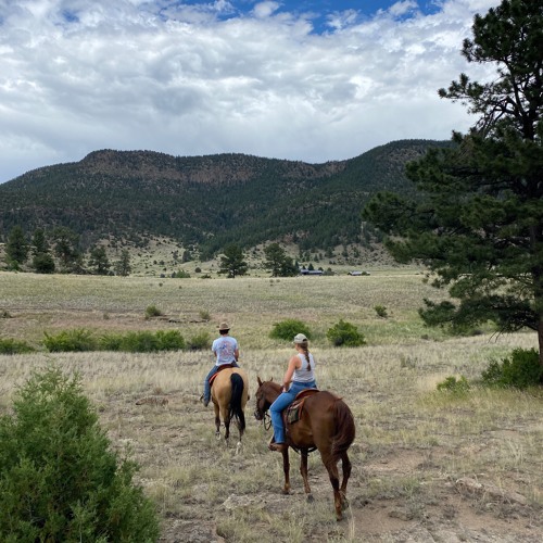 Stream Reminded Of You by Faith Anna Burton | Listen online for free on ...