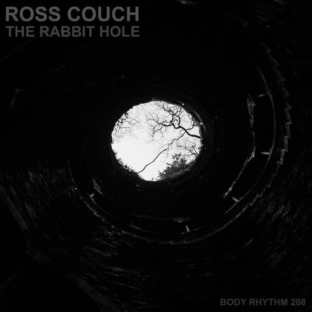 Stream The Rabbit Hole (Radio Edit) by Ross Couch | Listen online for ...