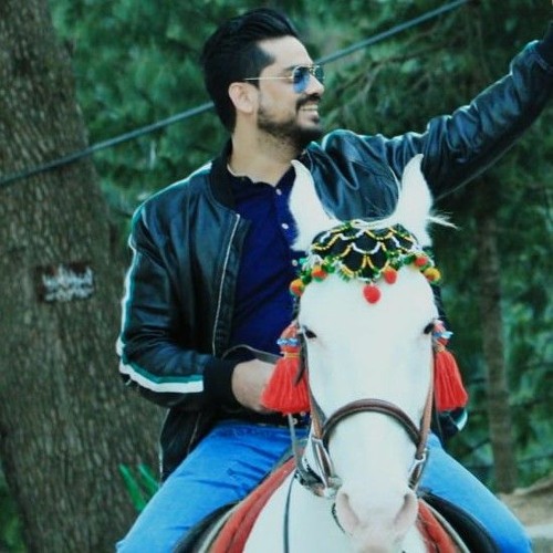 Stream Arman - BOLLYWOOD VS JUNGLE BY OMAR QADRI.mp3.mp3 by Ashfaq Butt ...