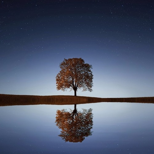 Stream Atmos 2021 by Mount B | Listen online for free on SoundCloud